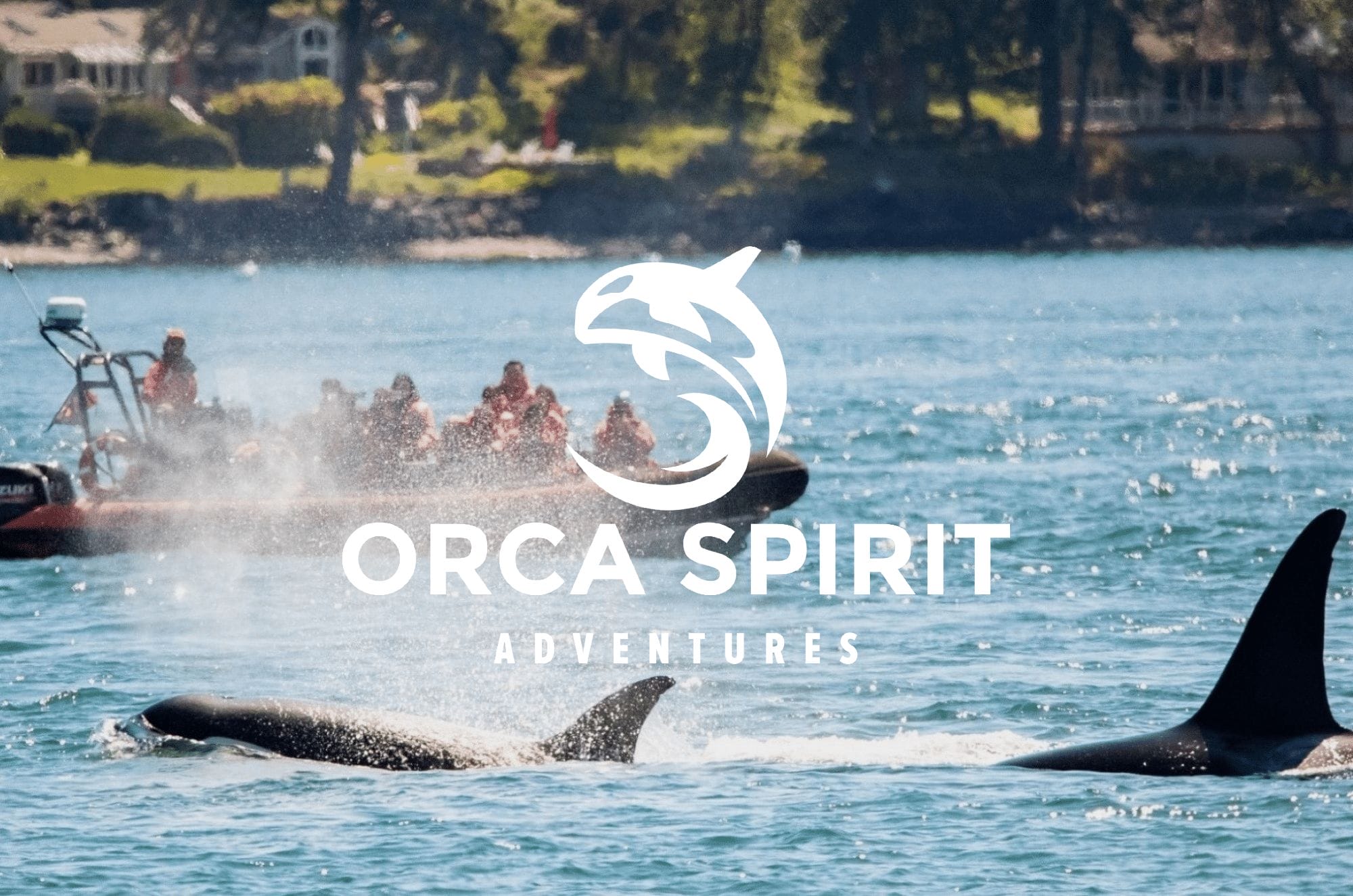Orca Spirit Adventures | 1UP Digital Marketing